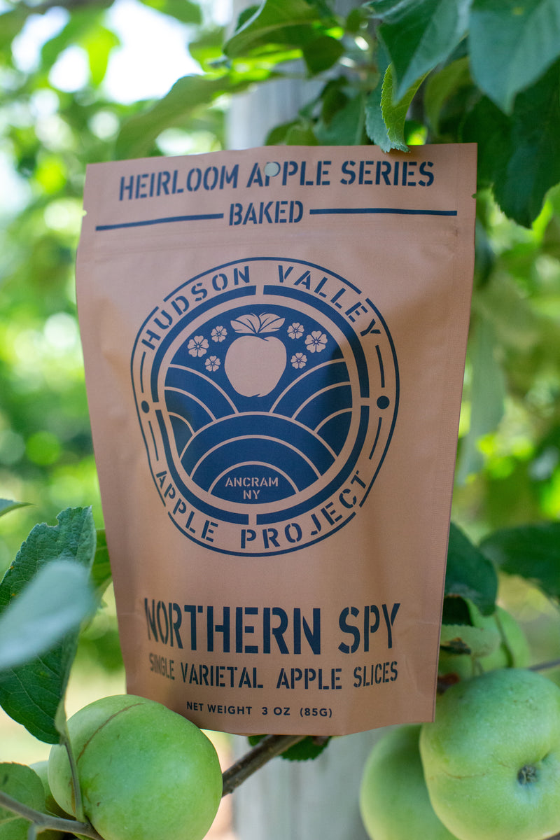 Northern Spy – Hudson Valley Apple Project